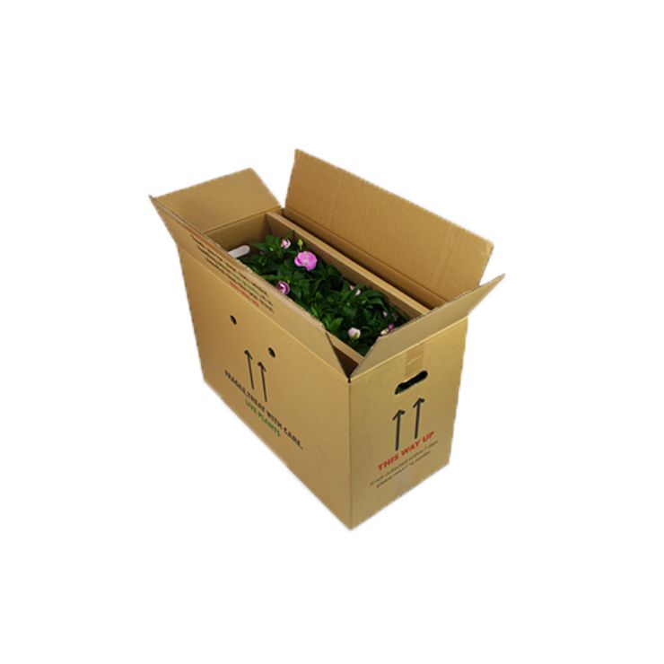 Flower and Live Plant Shipping Cardboard Boxes | Atlas Packaging