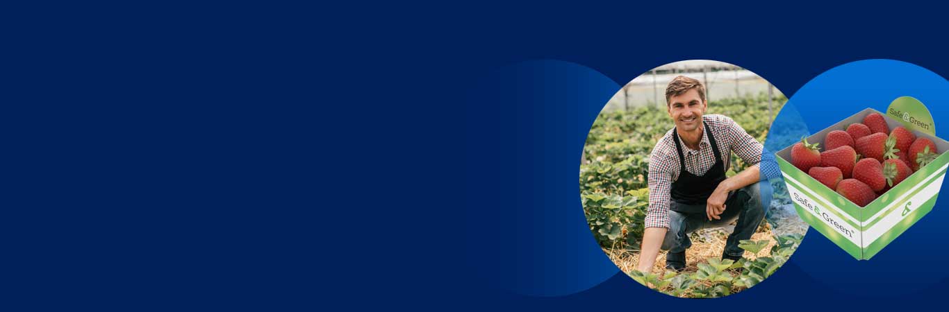 Cardboard Punnets | Corrugated and Solidboard | Smurfit Kappa