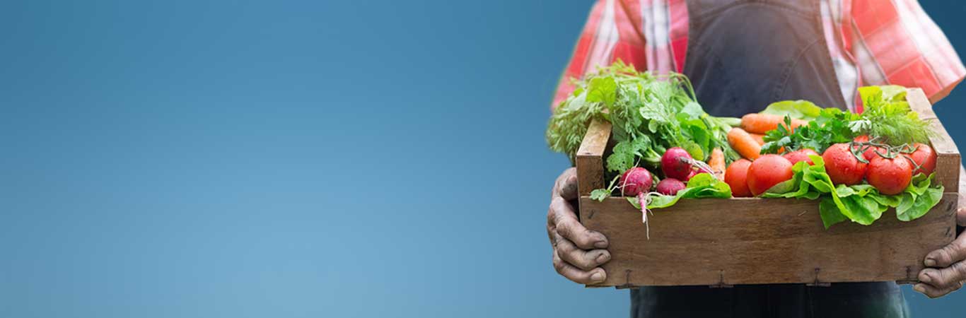 Cardboard Punnets | Corrugated and Solidboard | Smurfit Kappa