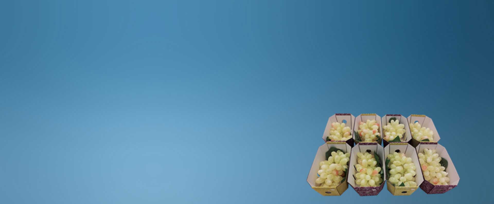 Pomares do Sol | Grape Punnets | Smurfit Kappa