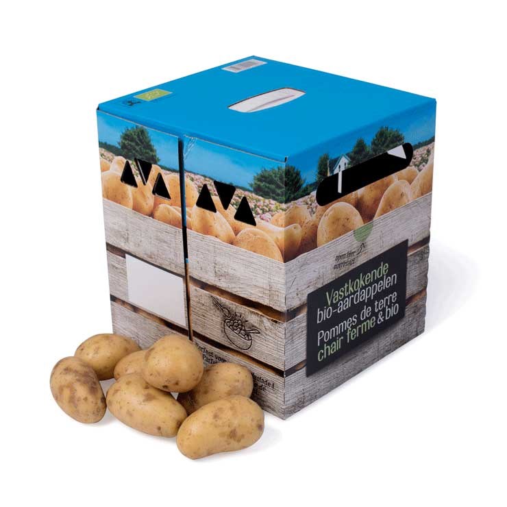 Cardboard Boxes & Cases | Packaging | Smurfit Kappa