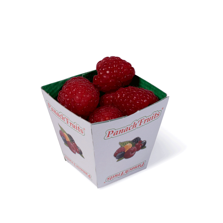 Fruit Punnets | Sustainable Packaging | Smurfit Kappa