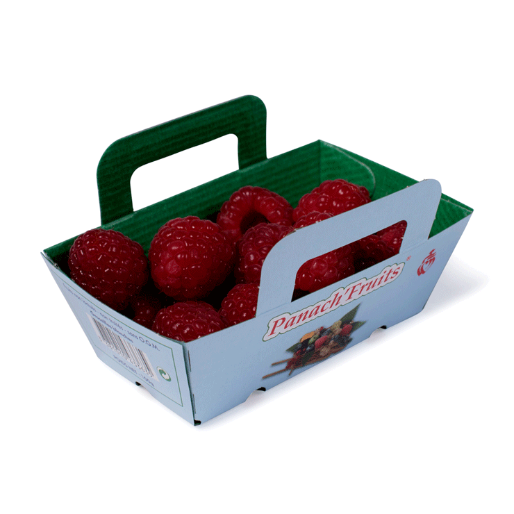 Fruit Punnets | Sustainable Packaging | Smurfit Kappa