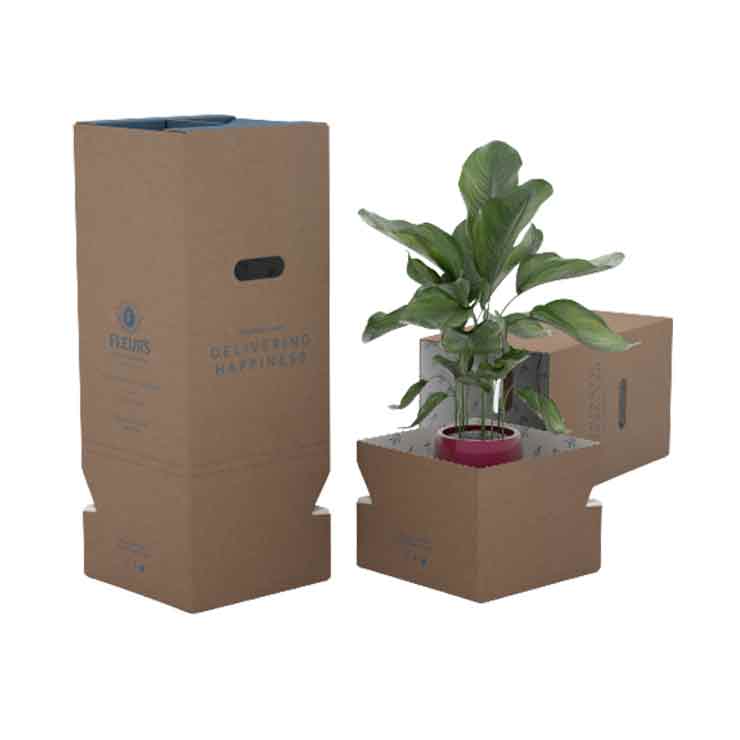Packaging for Plants | Horticulture Packaging | Smurfit Kappa