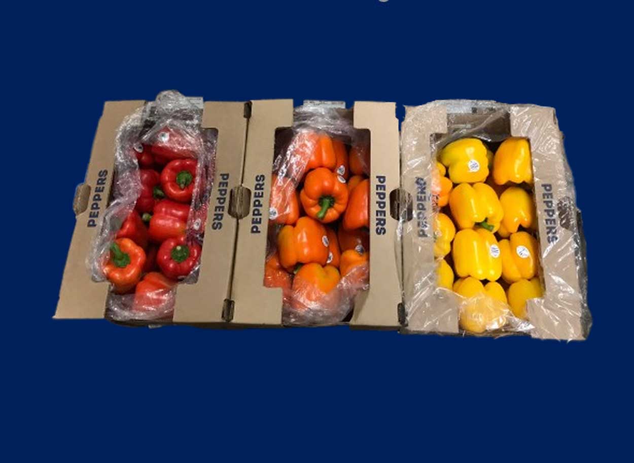 Clasifruit | Feuchtigkeitsresistente Verpackung | Smurfit Kappa