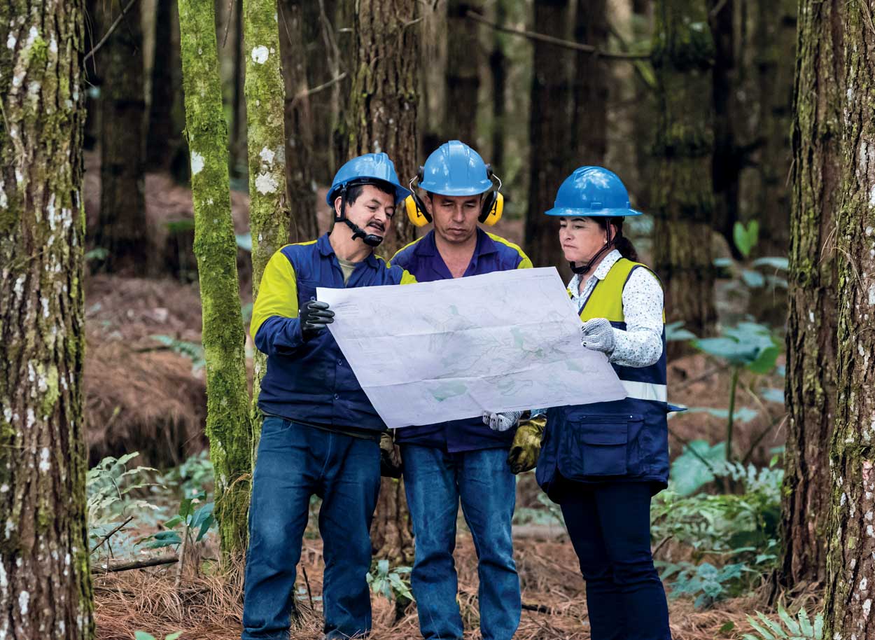 Our Stories | How Smurfit Kappa is striving to create a better world