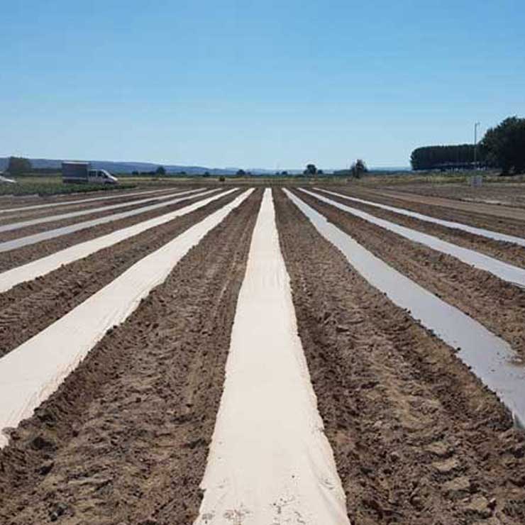 AgroPaper™ | Agricultural mulching |Smurfit Kappa